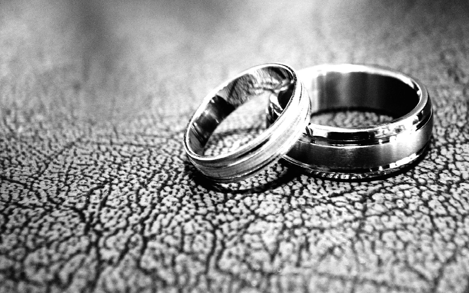 Elemental Bands - Shop Affordable Engagement Rings & Wedding Bands